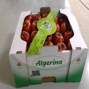 ALGERIE-BLED2062: Exportateur de fruits et légumes Algérien au salon de ...