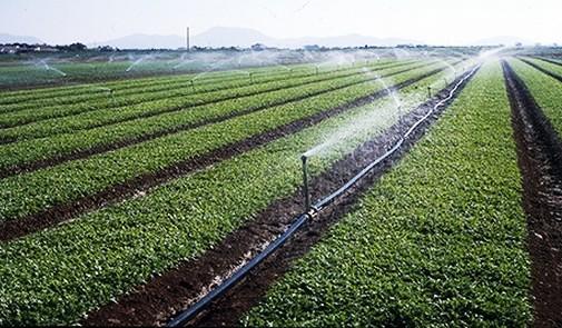 Projet Agricole - Partout dans le monde - Nc - Nc - 50 mille/ans - Mali ...