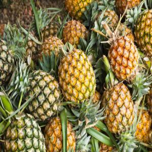 ANANAS FRAIS - Benin grossiste Recherche de client - Espaceagro