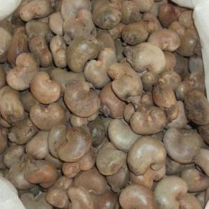 PARTENAIRE POUR L'ACAJOU - 12500f / 20TONNES - qualité - Senegal ...