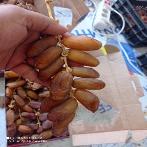 Cherche Des Client Pour Nos Dattes Algerienne - algerie - EspaceAgro
