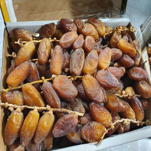 DATTES DEGLET NOUR EN PROVENANCE DE LA TUNISIE - France - EspaceAgro