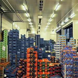 FRUITS ET LEGUME DU MAROC - Maroc grossiste Recherche de client ...