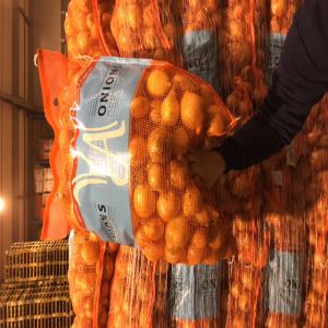 Oignon Frais - espagne - EspaceAgro