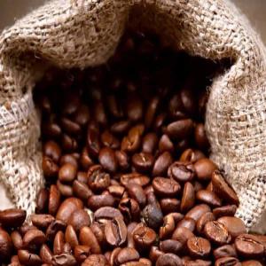 CAFÉ AFRICAIN ARABICA ET ROBUSTA, FRUITS - congo Recherche de ...